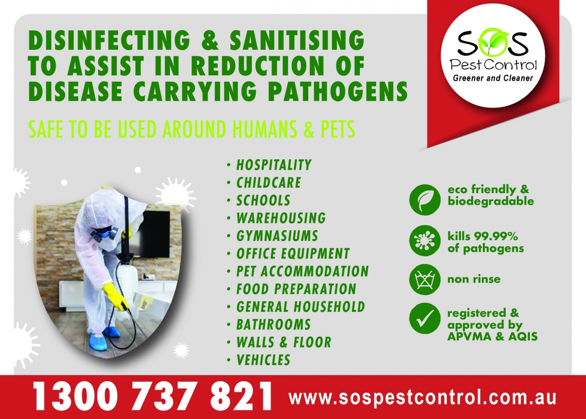 Rodent Extermination, Eco, Mice & Rat Pest Control