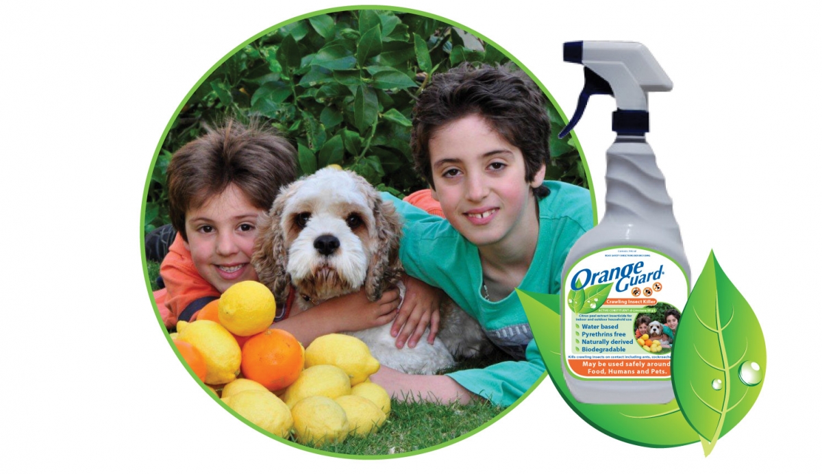 All Natural Pest Control Brighton East, SOSPestControl.com.au