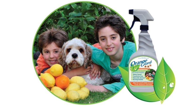 All Natural Pest Control Brighton East, SOSPestControl.com.au